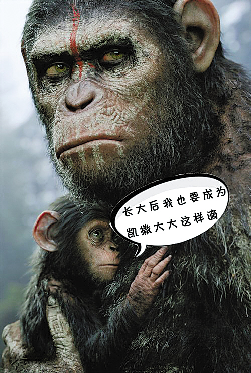 凯撒猩猩表情包-千图网